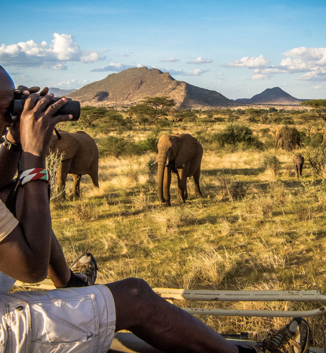 Elephant communication - Save the Elephants