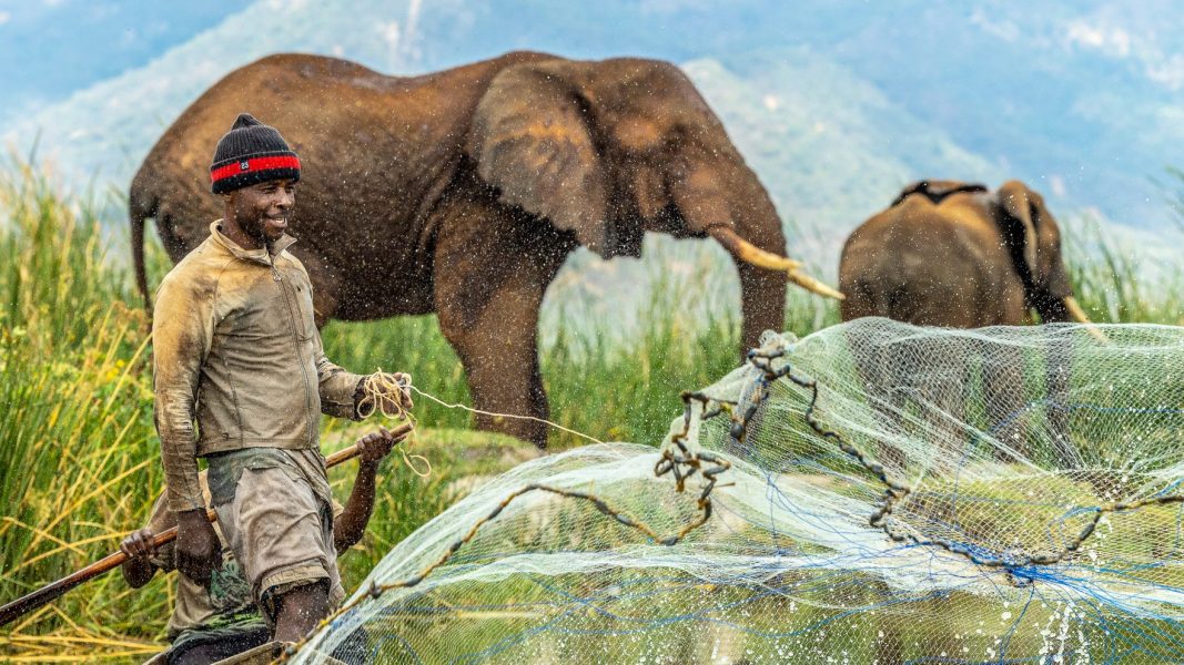 eNewsletter - Save the Elephants