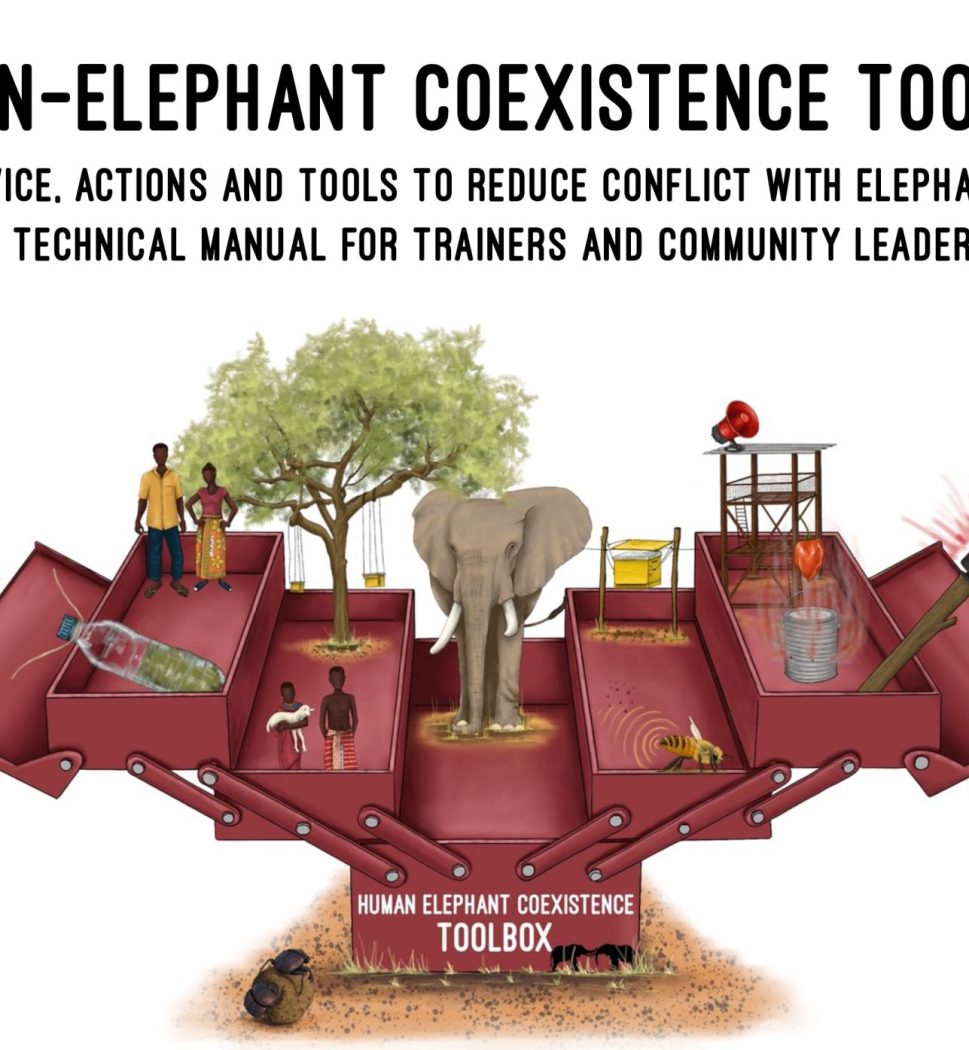 Communication - Save the Elephants
