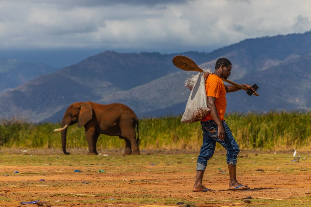 The Community That Lives With Elephants - Save the Elephants