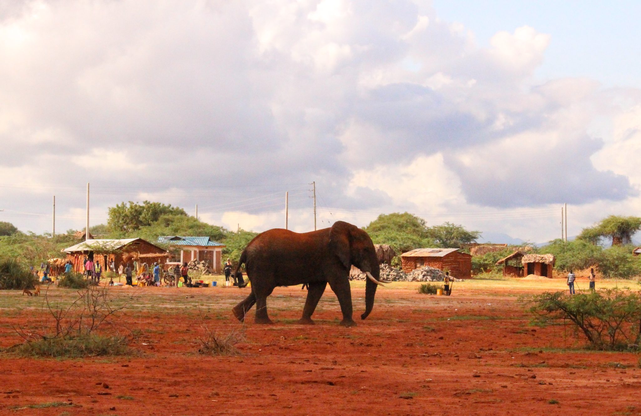 The Community That Lives With Elephants - Save the Elephants