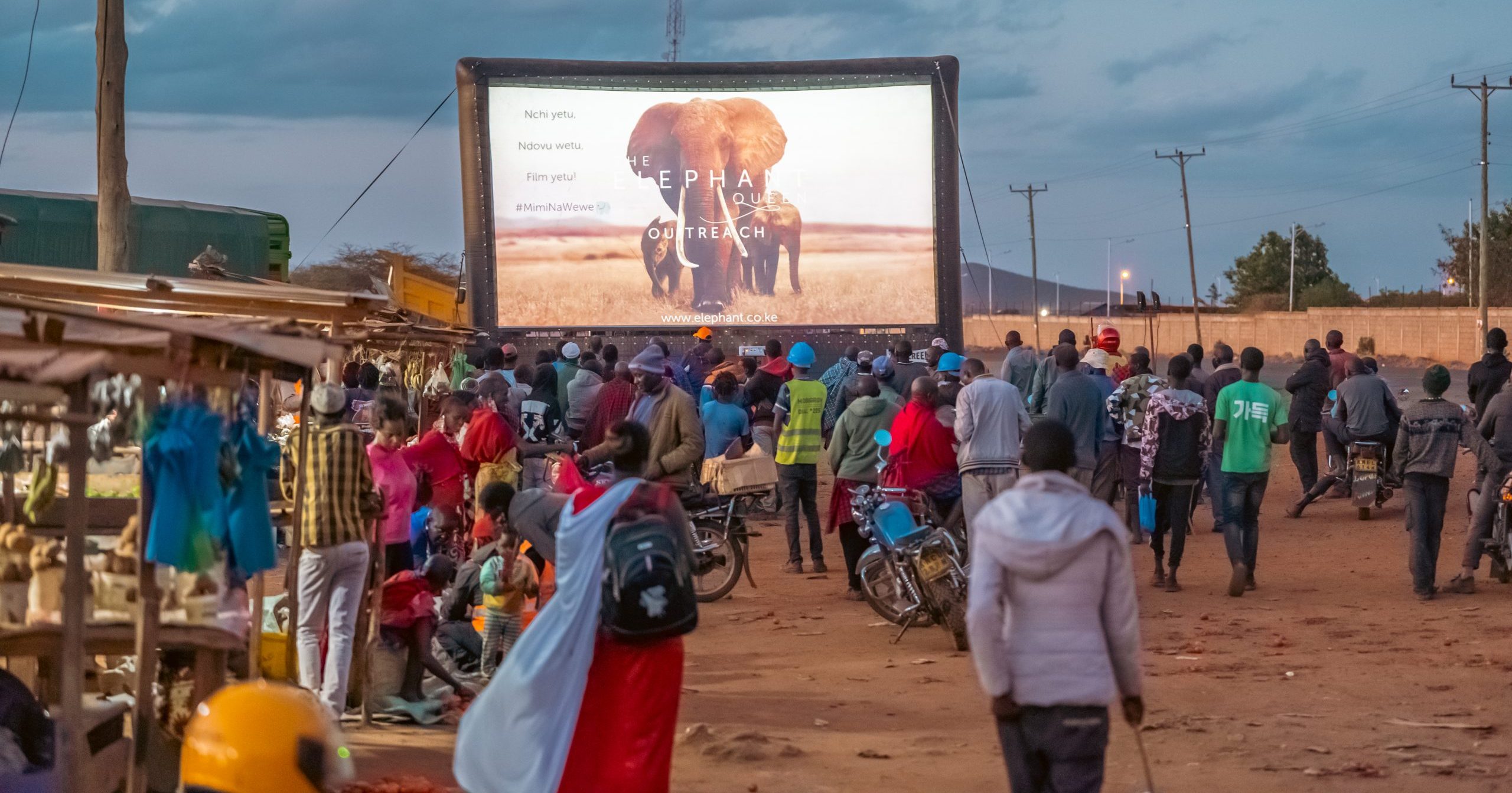 The Elephant Queen: How a wildlife documentary inspired rural Kenya - Save the Elephants
